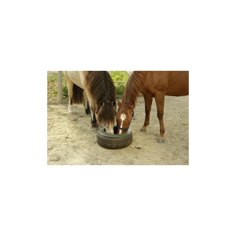 Klebeeisen - Klebebeschlag - Hufschutz - Paarweise, 46,95